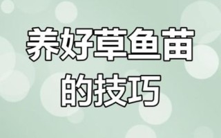 草鱼养殖技术_如何提高草鱼成活率