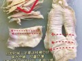 竹笋怎么切比较好_竹笋切片技巧