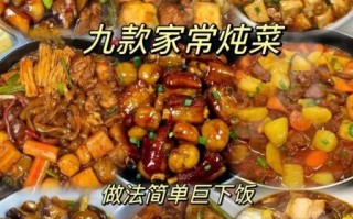 炒菜炖菜大全做法_新手如何快速上手