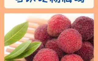 月经期间吃什么水果好_经期补血水果推荐