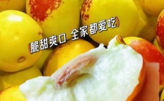 冬枣图片_冬枣怎么挑选