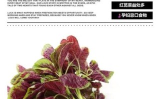 苋菜孕妇可以吃吗_孕期吃红苋菜的禁忌