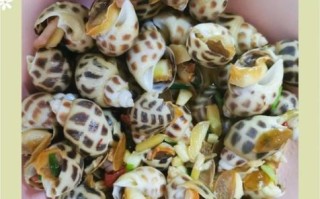 花甲螺怎么清洗_花甲螺清洗技巧