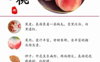 桃的营养价值_桃的药用价值有哪些