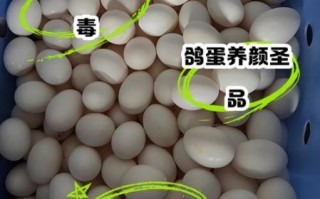 孕妇吃鸽子蛋对胎儿好吗_孕妇吃鸽子蛋的营养价值