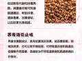 荞麦能减肥吗_荞麦的功效与作用