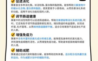 酵素的功效与作用_酵素真的有用吗