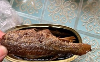 豆豉鲮鱼罐头哪个牌子好吃_怎么选才不上当
