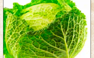 卷心菜图片长什么样_卷心菜和包菜区别