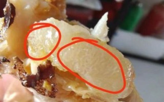 大闸蟹公蟹蟹膏是什么_蟹膏和蟹黄的区别