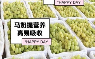 马奶提子的功效与作用_马奶提子适合什么人吃