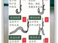 蚯蚓钓鱼怎么挂钩上鱼快_蚯蚓钓鱼上鱼快的技巧