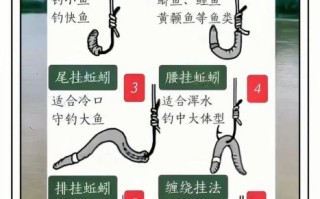 蚯蚓钓鱼怎么挂钩上鱼快_蚯蚓钓鱼上鱼快的技巧