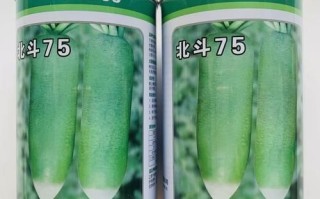 沙窝萝卜多少钱一斤_正宗沙窝萝卜价格行情