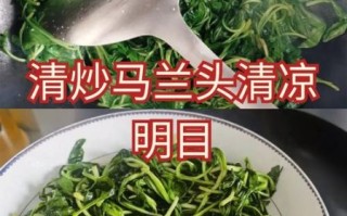 清炒马兰头怎么做_清炒马兰头焯水多久