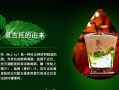 莫吉托怎么做_莫吉托用什么朗姆酒