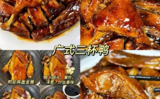 鸭肉的做法大全家常最好吃_鸭肉怎么做好吃又简单