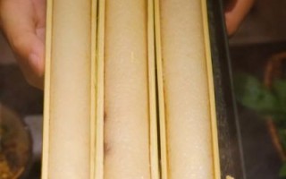 傣族竹筒饭怎么做_傣族竹筒饭用什么米
