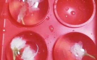 水信玄饼和果冻的区别_哪个更好吃