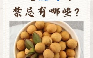 桂圆肉的功效与作用及禁忌_孕妇能吃吗