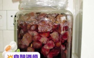 自制葡萄酒的危害_如何避免甲醇超标