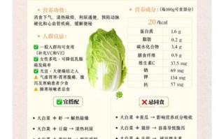 大白菜的功效与作用_大白菜的禁忌有哪些