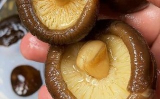 干香菇怎么泡发_干香菇的家常做法大全