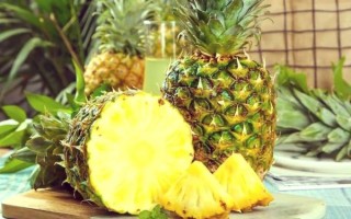 台湾凤梨图片_怎么挑选成熟凤梨
