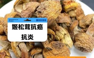 姬松茸的功效与禁忌_姬松茸什么人不能吃