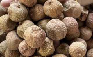 荔枝干怎么吃_荔枝干有哪些吃法