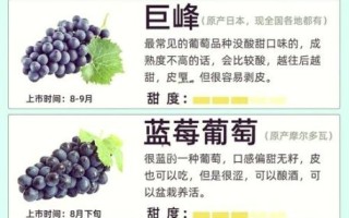 夏黑葡萄什么时候成熟_夏黑葡萄和巨峰葡萄区别