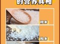 籼米粳米糯米的区别_哪个更适合做米饭