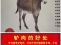 吃驴肉能提高性功能吗_驴肉壮阳是真的吗
