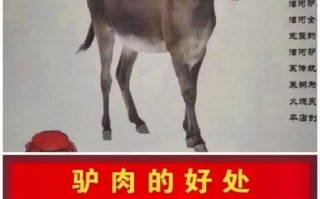 吃驴肉能提高性功能吗_驴肉壮阳是真的吗