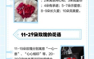 1到100朵玫瑰花代表什么意思_送花数量含义全解