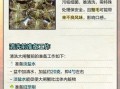 螃蟹钳子上的毛怎么去掉_螃蟹钳子毛快速清理技巧