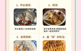 冬虫夏草一天吃多少_怎么吃效果最好