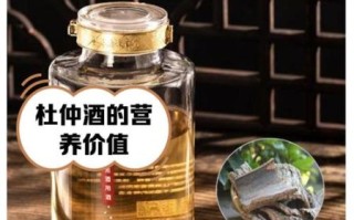 杜仲泡酒配方大全_杜仲泡酒用什么酒最好