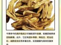 牛蒡茶女人能天天喝吗_长期饮用副作用