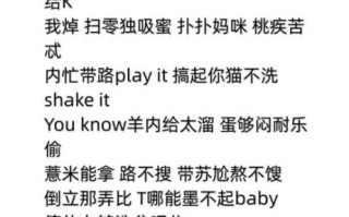 泡菜音译网官方下载_如何安全获取最新版