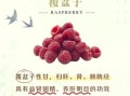 覆盆子功效与作用_覆盆子用法用量