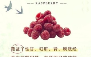 覆盆子功效与作用_覆盆子用法用量