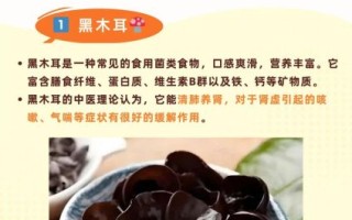 哪些食物养肾_养肾吃什么最好