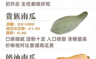 长条的南瓜叫什么_长南瓜品种名称大全 长条的南瓜叫什么_长南瓜品种名称大全