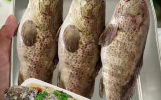 清蒸石斑鱼怎么蒸才鲜嫩_石斑鱼蒸多久最佳