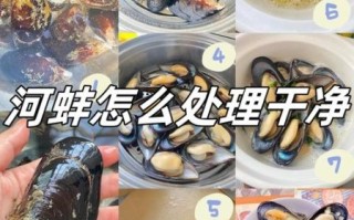 青口贝内脏在哪里_如何清理青口贝内脏 青口贝内脏在哪里_如何清理青口贝内脏