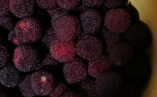 杨梅干怎么做_家庭自制杨梅干步骤