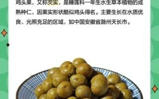 鸡头果多少钱一斤_鸡头果价格行情