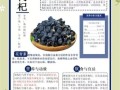 黑枸杞哪三种人不能喝_禁忌人群有哪些