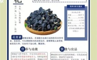 黑枸杞哪三种人不能喝_禁忌人群有哪些